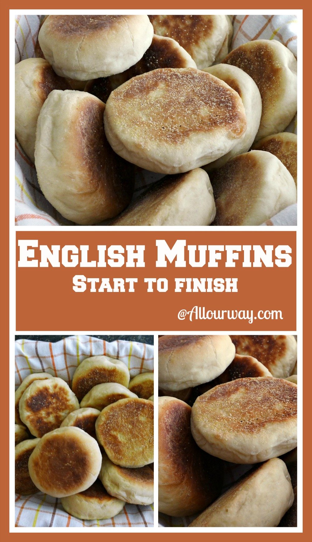 Original English Muffins From Start to Finish, An Easy Tutorial