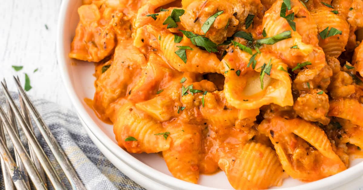Creamy Roasted Red Pepper Sauce With Shell Pasta