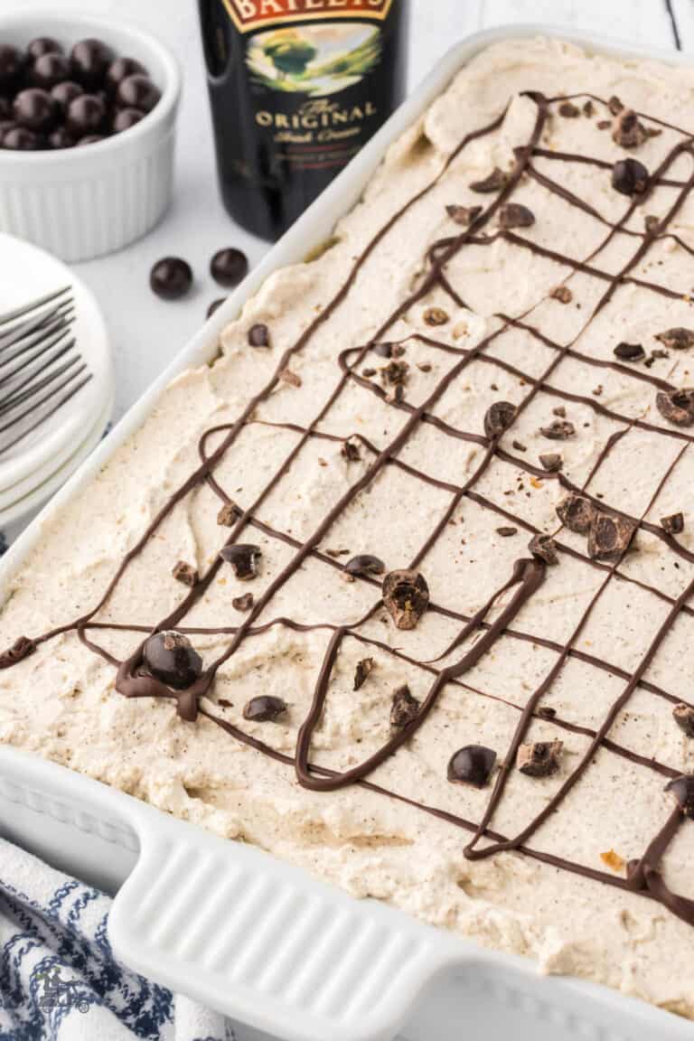 Decadent Delight: Bailey's Irish Cream Chocolate Poke Cake
